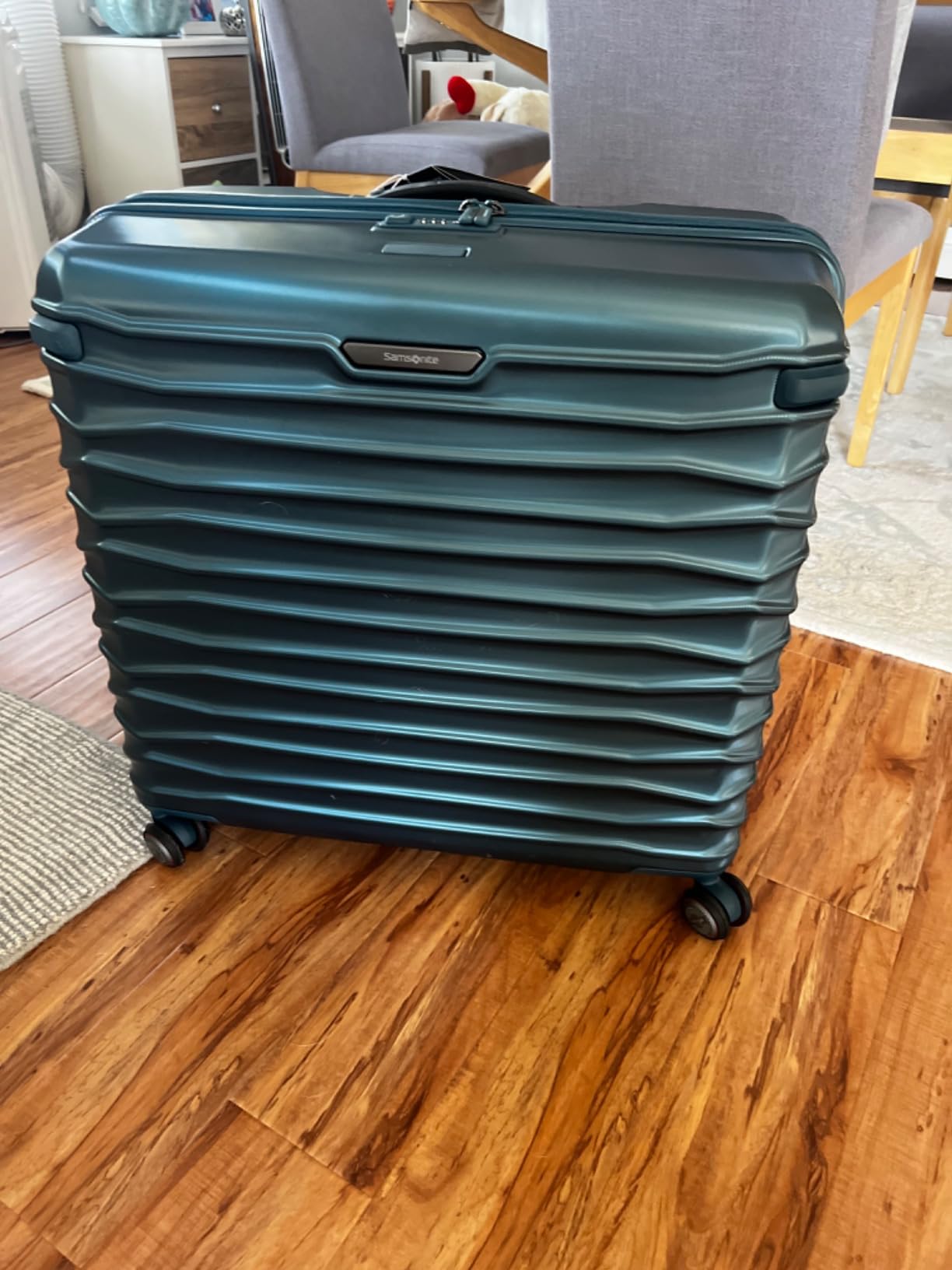 Samsonite Stryde 2 Hardside Luggage Review: Smooth Glides, Solid Build