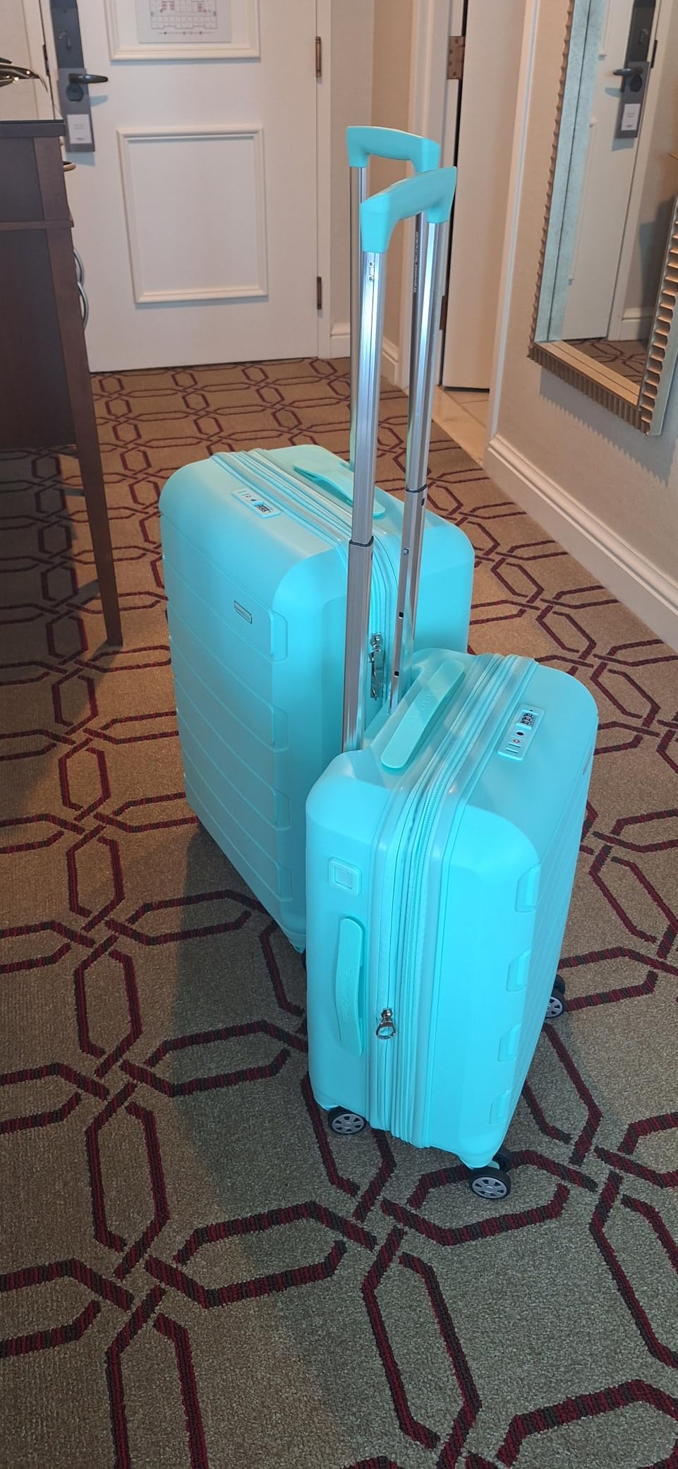 Traveler's Choice Pagosa Luggage Review