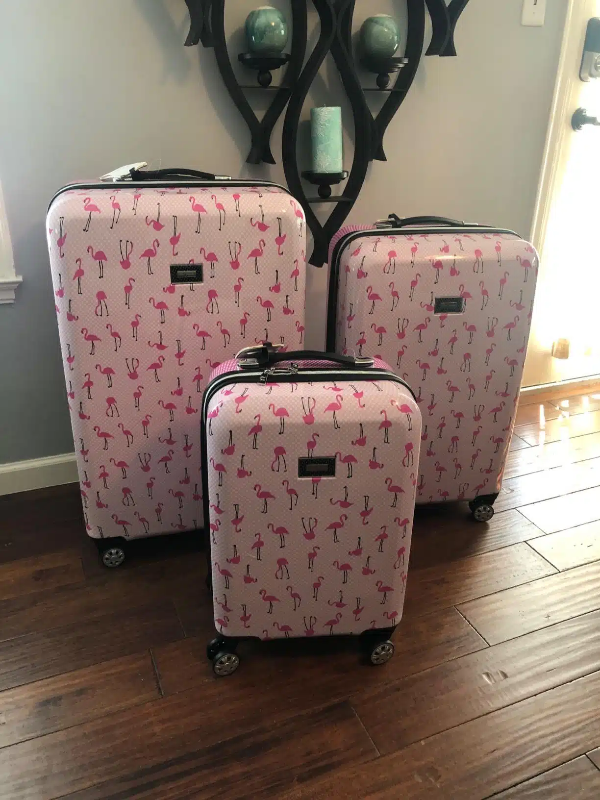 Betsey Johnson Designer Luggage Set Review: Stylish & Practical